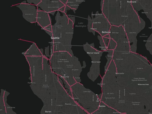 Flowmap.blue - Flow map visualization tool